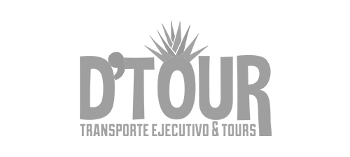 Citdev MX Diseño de páginas web en Guadalajara